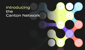 Introducing the Canton Network